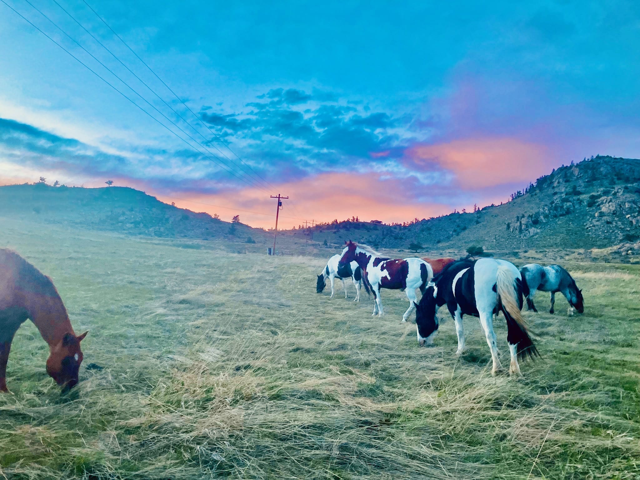 Sunset Horseback Ride - Tattered Saddle Horseback Rides